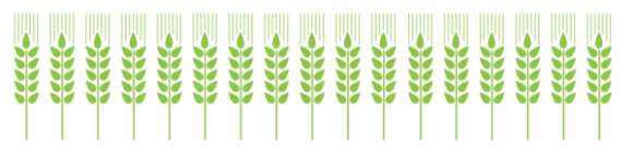 About Us - Tawoos Agriculturual Systems